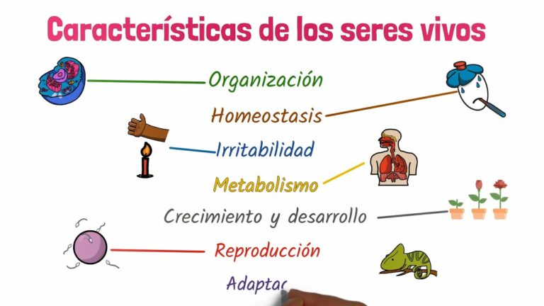 Introducción a las Características de los Seres Vivos: Descubre su Diversidad y Funciones ...