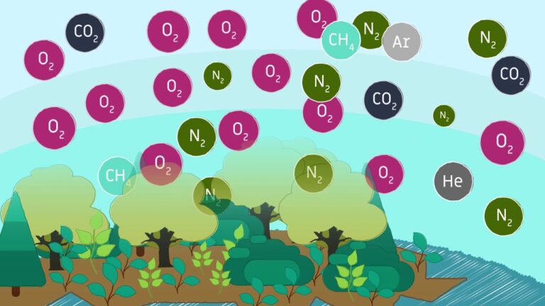 Composición del Aire que Respiramos: ¿Qué Hay Realmente en Nuestra ...