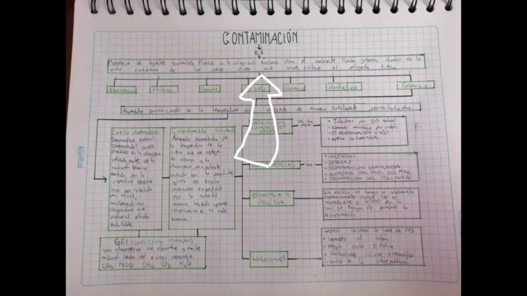 Cuadro Conceptual de la Contaminación: Entiende sus Tipos, Causas y Consecuencias - Biología un ...
