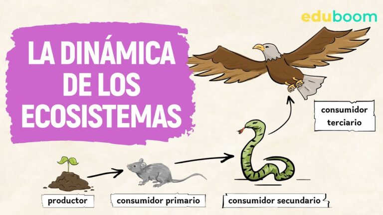 Dinamica General de los Ecosistemas: Entendiendo su Funcionamiento y ...