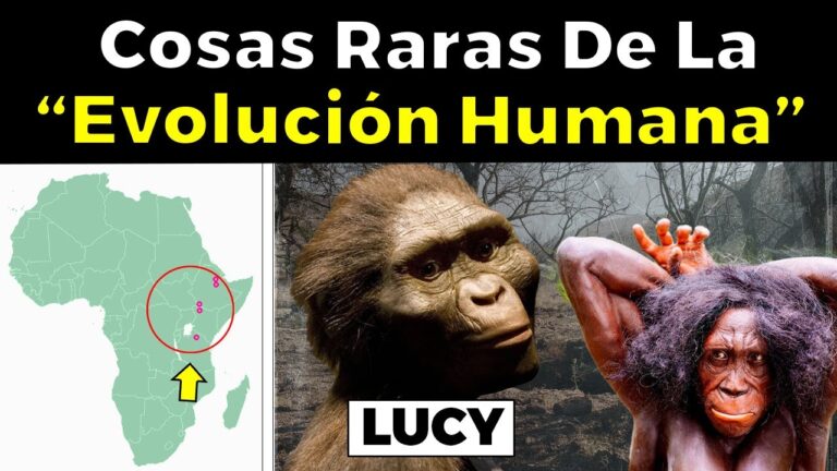 Dryopithecus: Año y Lugar de Descubrimiento del Ancestro Primate ...