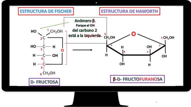 La Importancia Biológica de la Fructosa: Beneficios y Funciones ...