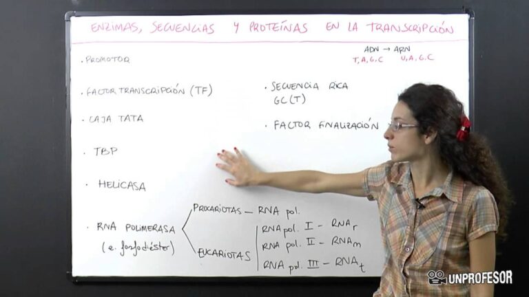 La Enzima ARN Polimerasa: El Motor Principal de la Transcripción ...