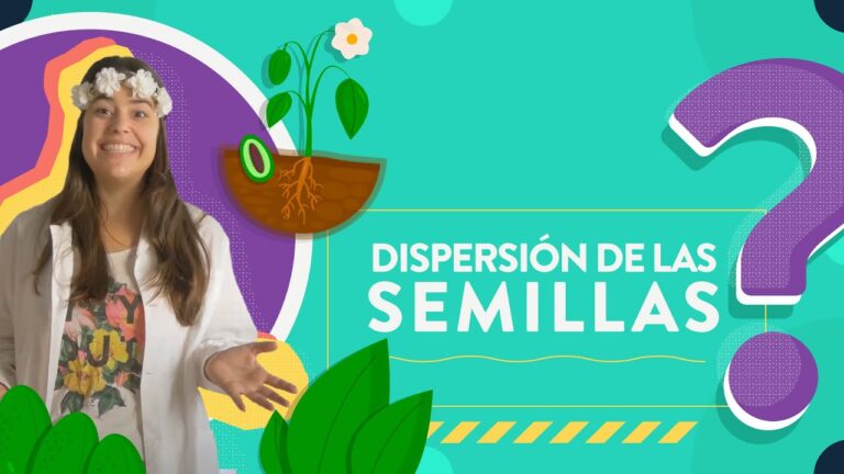 ¿Qué es la dispersión de semillas? Explicación sencilla para niños ...