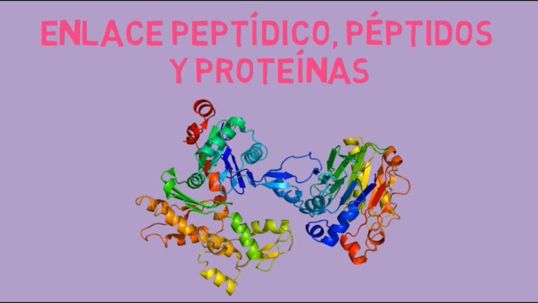Características del Enlace Peptídico: Todo lo que Necesitas Saber ...
