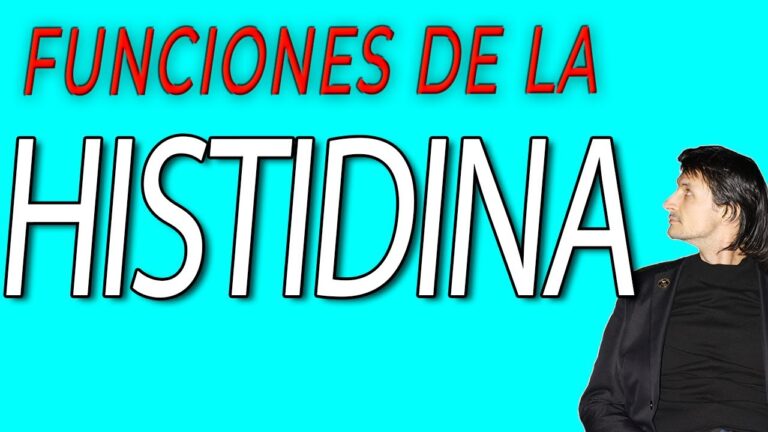 Histidina: Función Esencial en el Cuerpo Humano y sus Beneficios ...