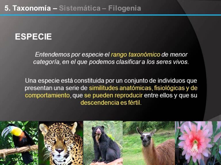 Organización Pluricelular en la Naturaleza: Estructuras y Funciones ...