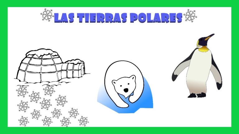 Descubre las Características de la Región Polar: Clima, Fauna y ...