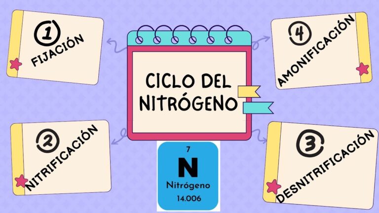 Cómo se Aplica la Química en el Ciclo del Nitrógeno: Importancia y Procesos Clave - Biología un ...