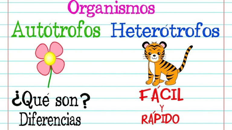 Cómo se Nutren los Organismos Heterótrofos: Proceso y Ejemplos ...
