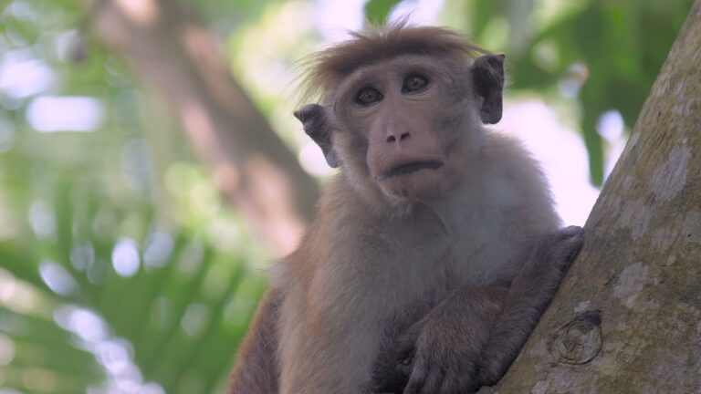 Todo lo que Necesitas Saber sobre el Proceso de la Experimentación ...