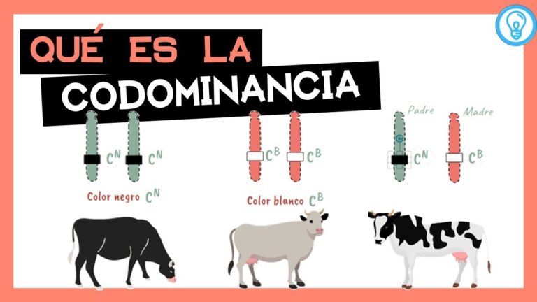 Variaciones Genéticas: Dominancia Incompleta, Codominancia y Alelos ...