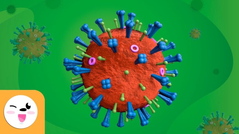 Los Virus Más Comunes: Características y Cómo Identificarlos - Biología ...
